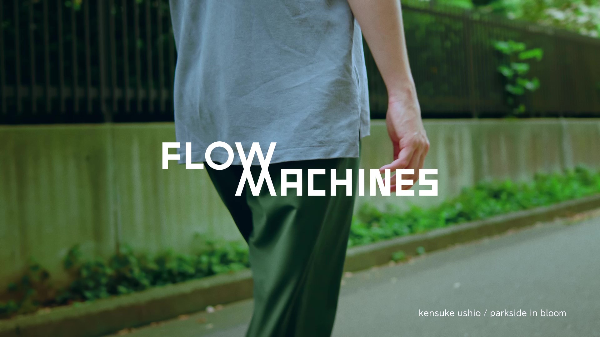 Flow Machines